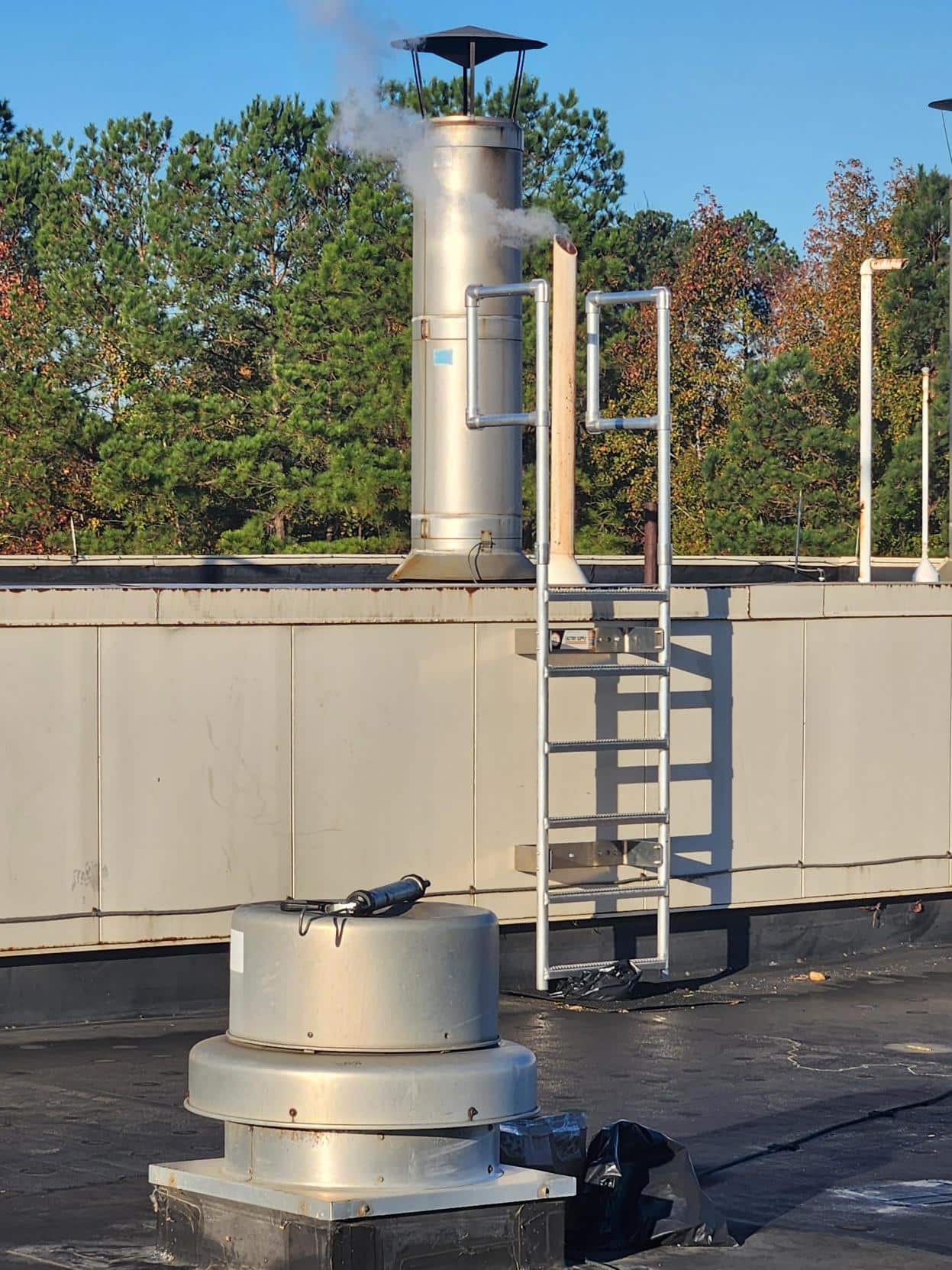 Modular Fixed Ladders for Rooftop Access | Fall Protection
